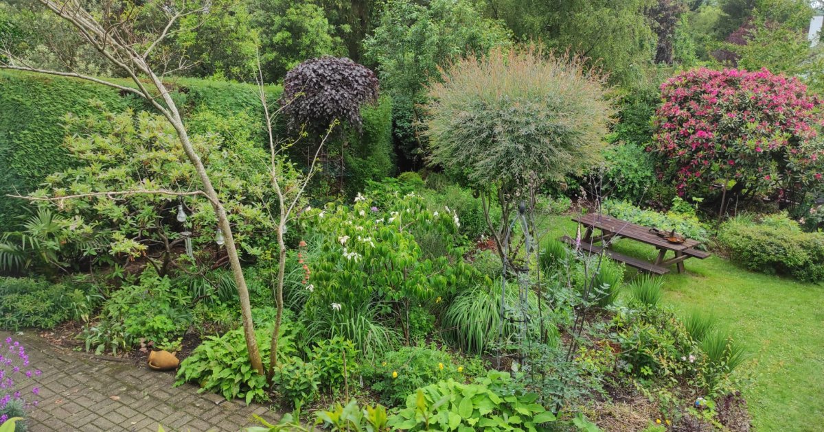 Tuin van Danielle | Velt